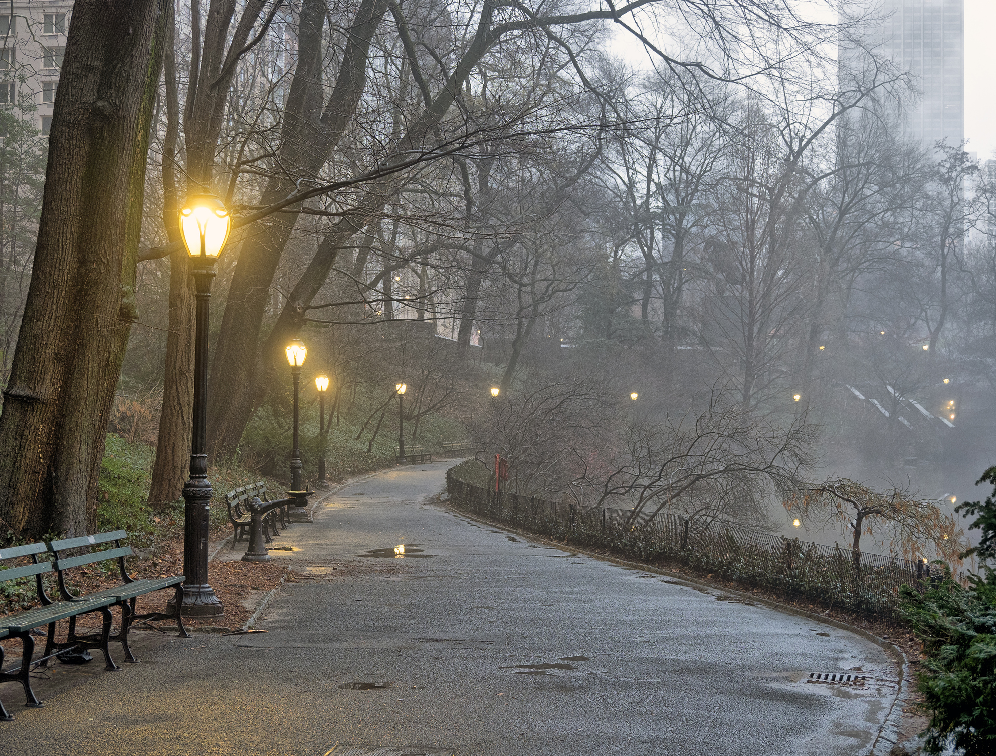 Seasonal Park Lighting Enhancements for Visitor Safety